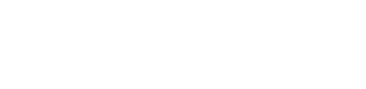 Michael M. Crow - The Brock Institute